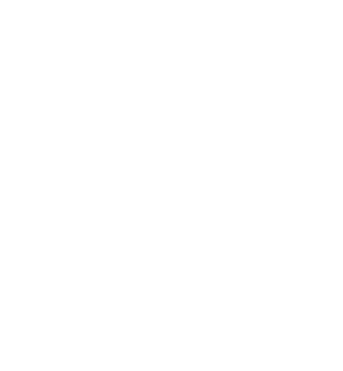 Dosimetric properties - MacroMedics